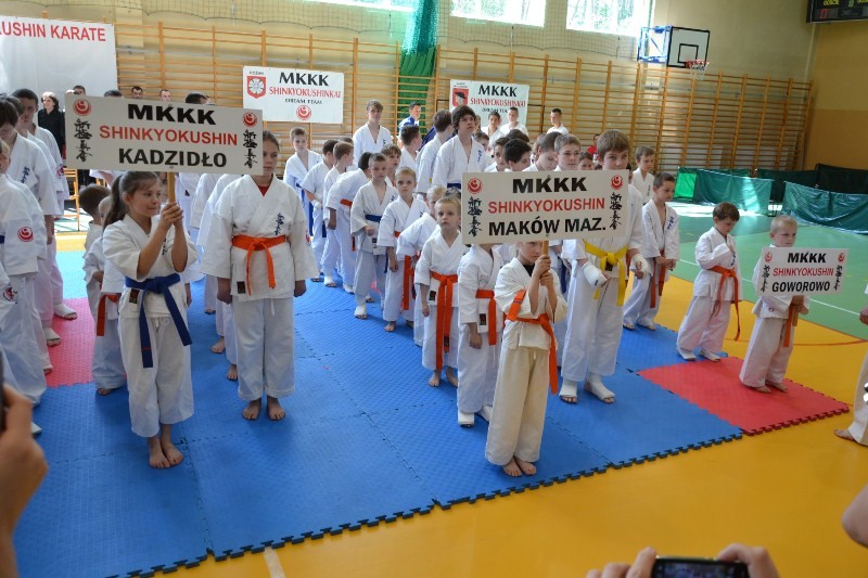Wyprawa na II Letnią Szkołę Karate: Zobacz zwiastun klubu MKKK ...